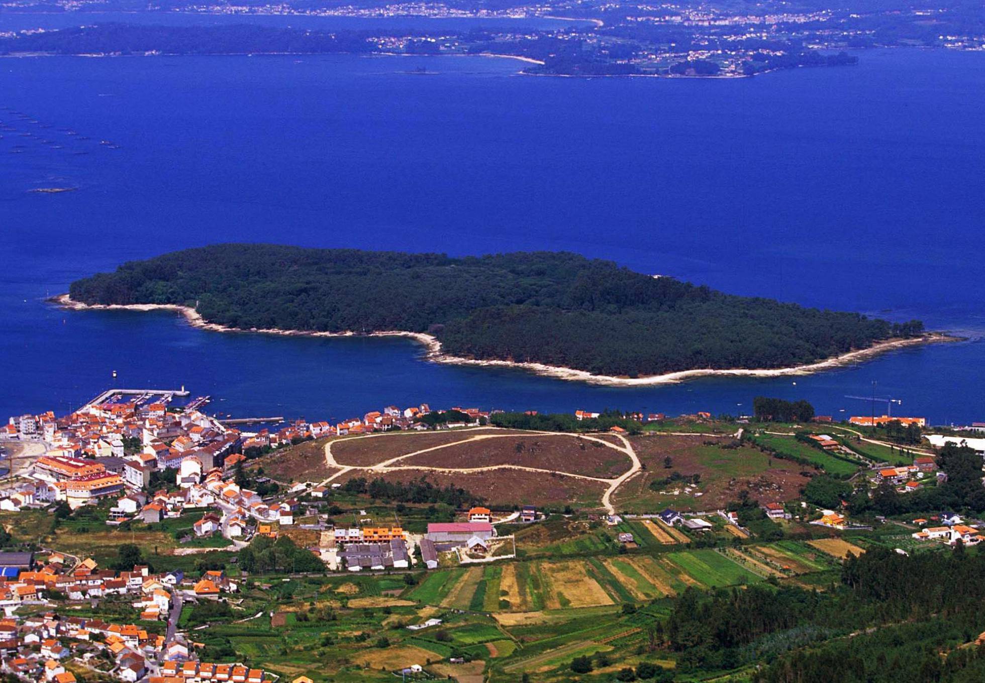 Isla de Cortegada: Jabalíes de mar en la isla desierta | Galicia | EL PAÍS