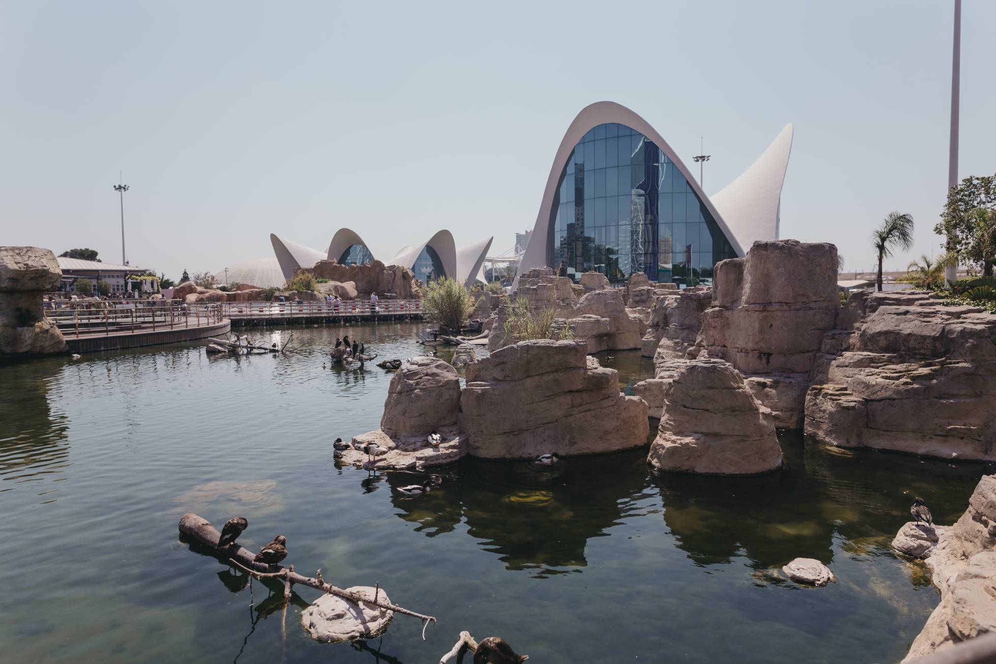 L’Oceanogràfic de València, segundo mejor acuario del mundo para los ...