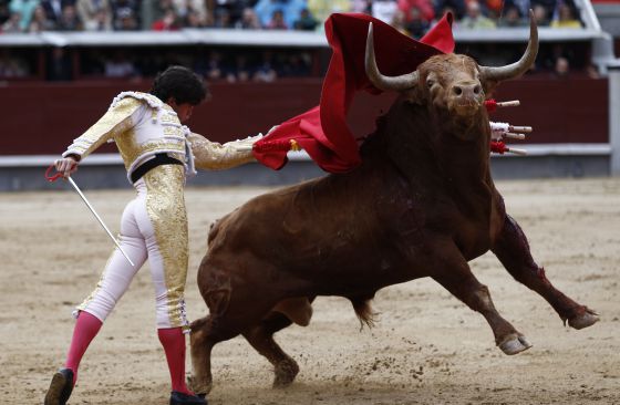 Lo que hay que torear en 2015. – DE SOL Y SOMBRA