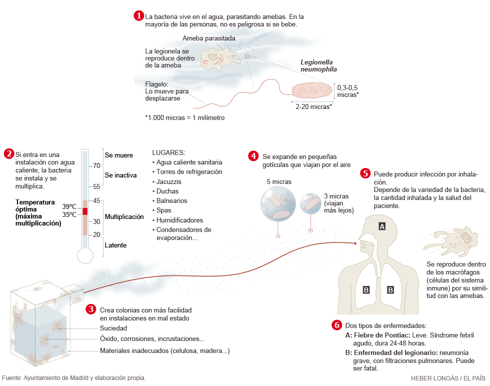 El contagio de legionelosis | Actualidad | EL PAÍS