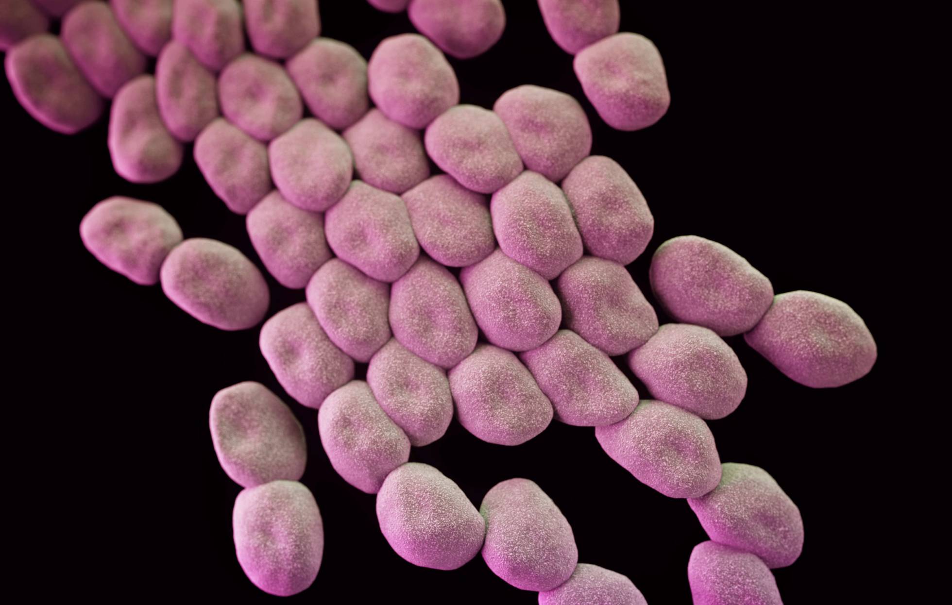 La ONU acuerda luchar contra la amenaza global de las superbacterias ...