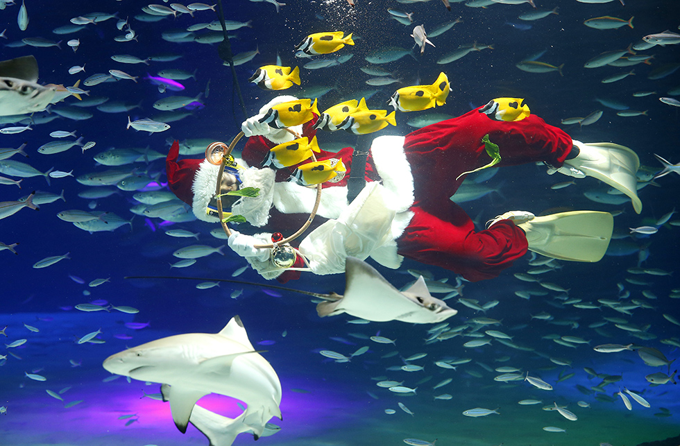 Fotos: Feliz Navidad desde todos los rincones del mundo | Actualidad ...