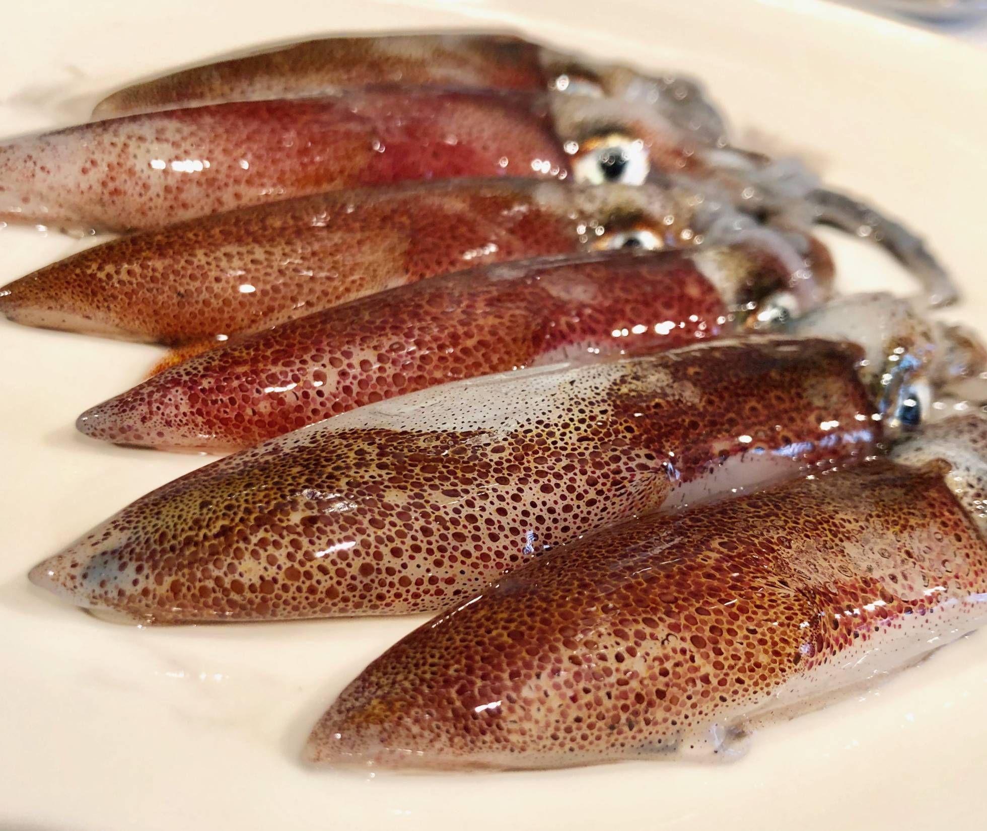 Los chipirones son cosa del verano | Blog Gastronotas de Capel | EL PAÍS