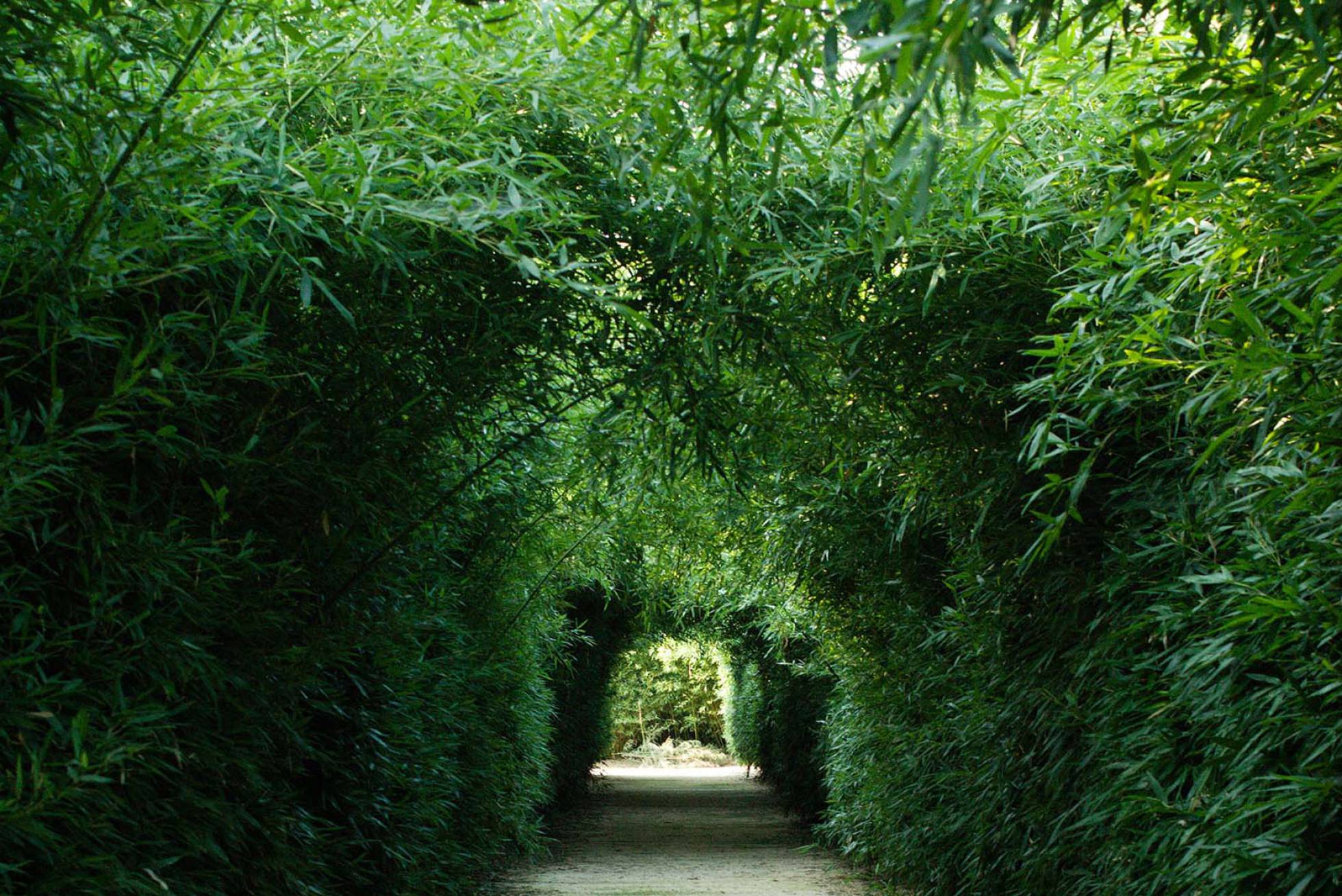 Fotos: 15 laberintos verdes para jugar al escondite | El Viajero | EL PAÍS
