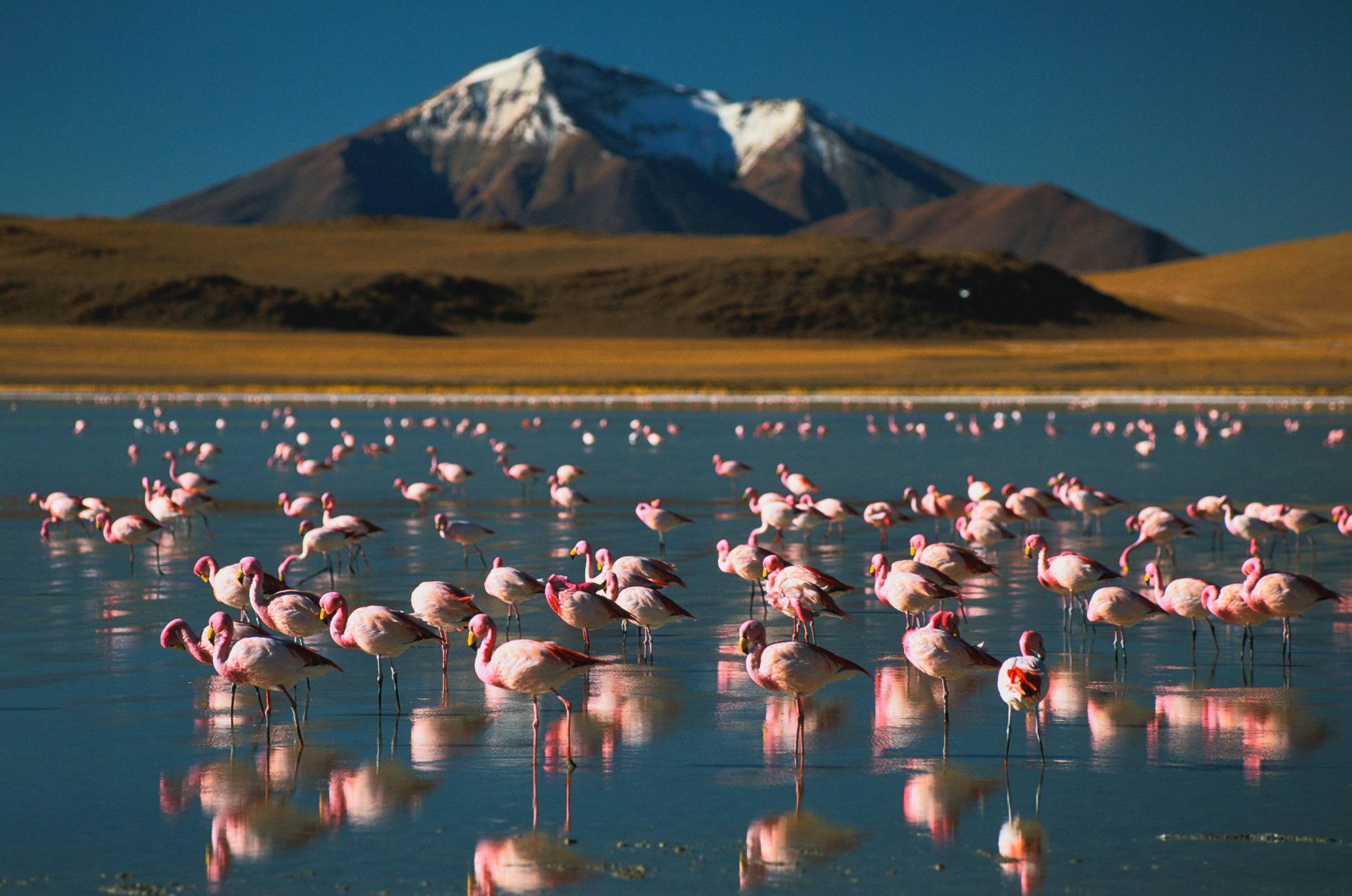 Fotos: 12 maravillas naturales de Chile | El Viajero | EL PAÍS
