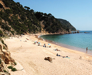 Las playas más bonitas de España 2019 | El Viajero EL PAÍS