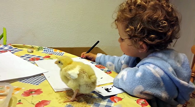 Vídeo: La que has liado, internet: los vídeos que vimos en 2014 | Verne ...