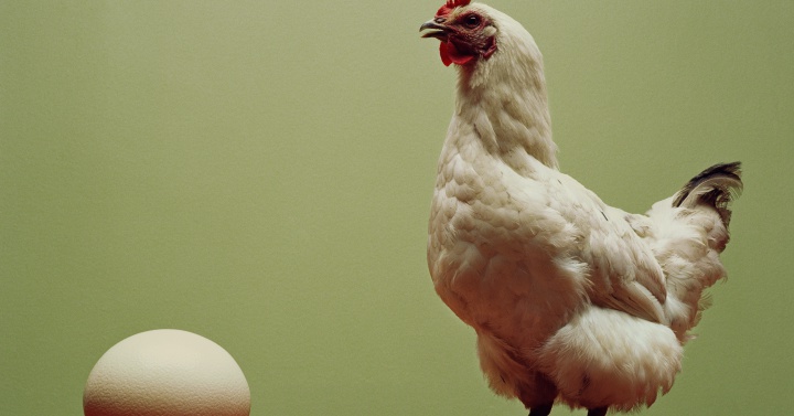 Lo de Cataluña tiene un nombre: dialelo | Verne EL PAÍS